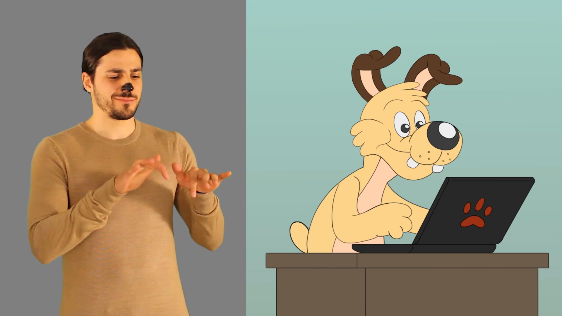 XS2 Animation - Cardeis Art